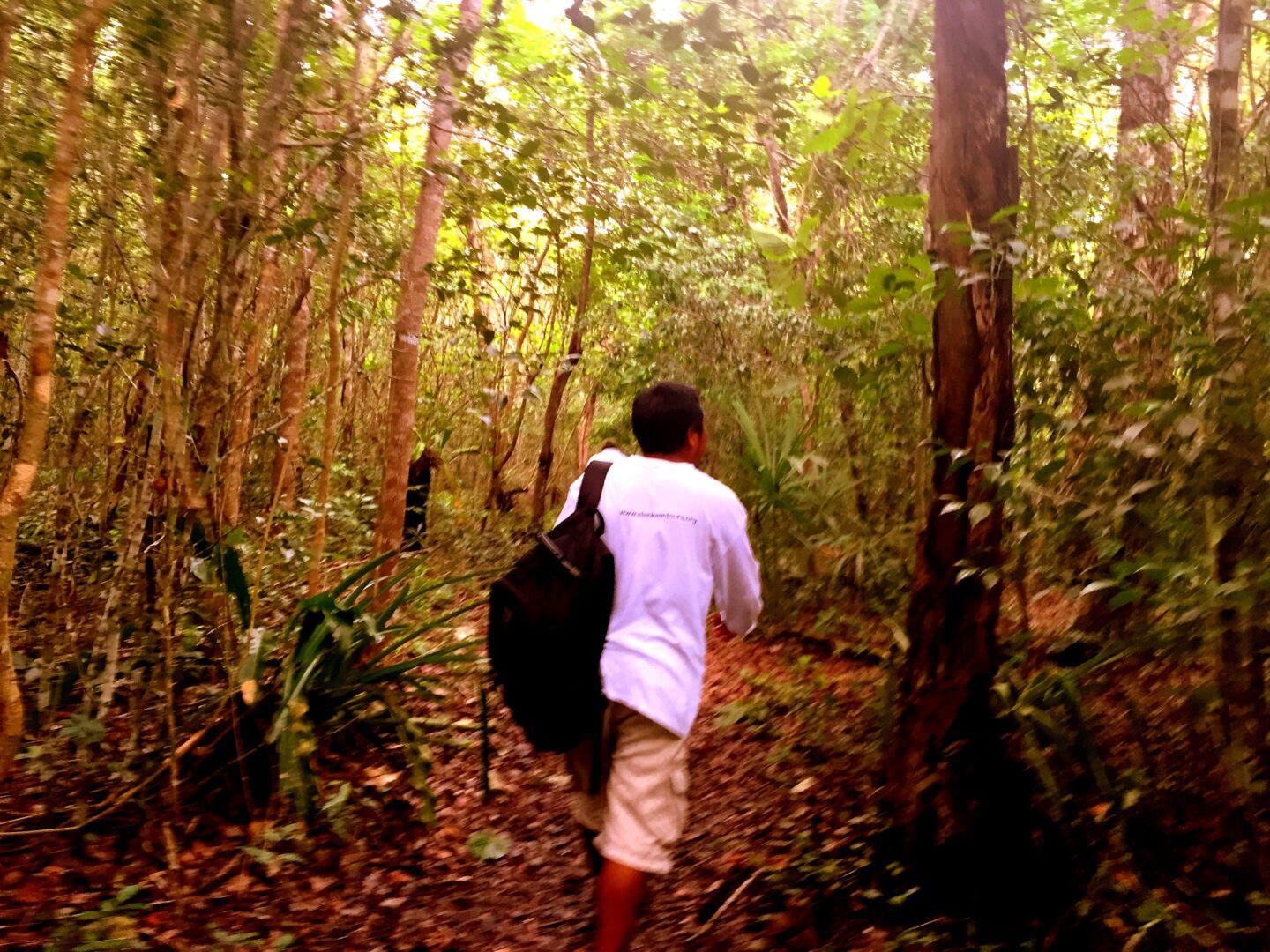 Sian Ka'an: Chewing Mother Nature's Gum While Floating In Mayan Bliss ...